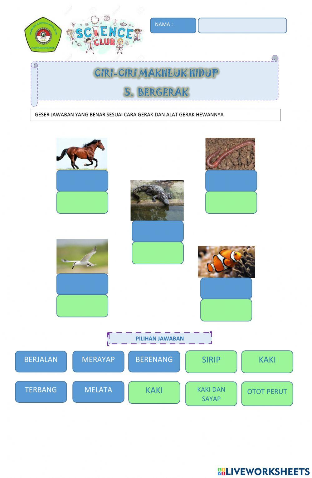 Cara bergerak hewan interactive worksheet | Live Worksheets