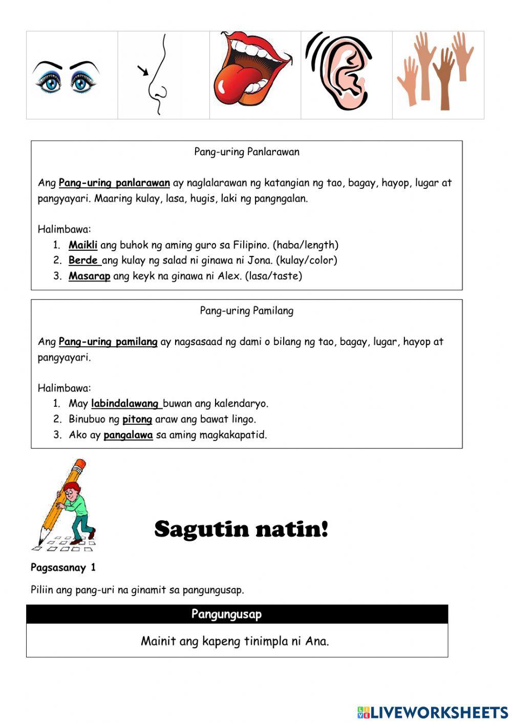 3923253 | Week 5 Pang-uri | Hannamie Luching