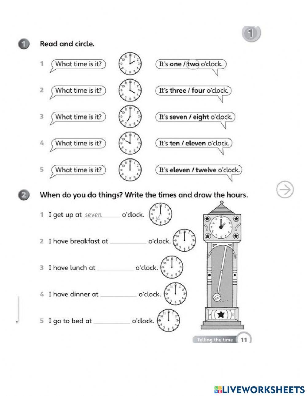 Homework unit 1 worksheet | Live Worksheets