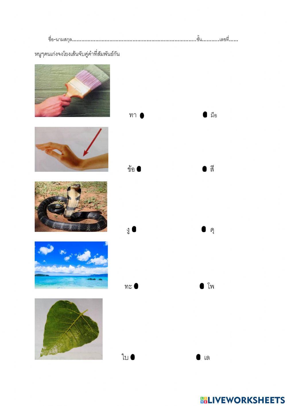 โยงเส้นจับคู่ online exercise for pp2 | Live Worksheets