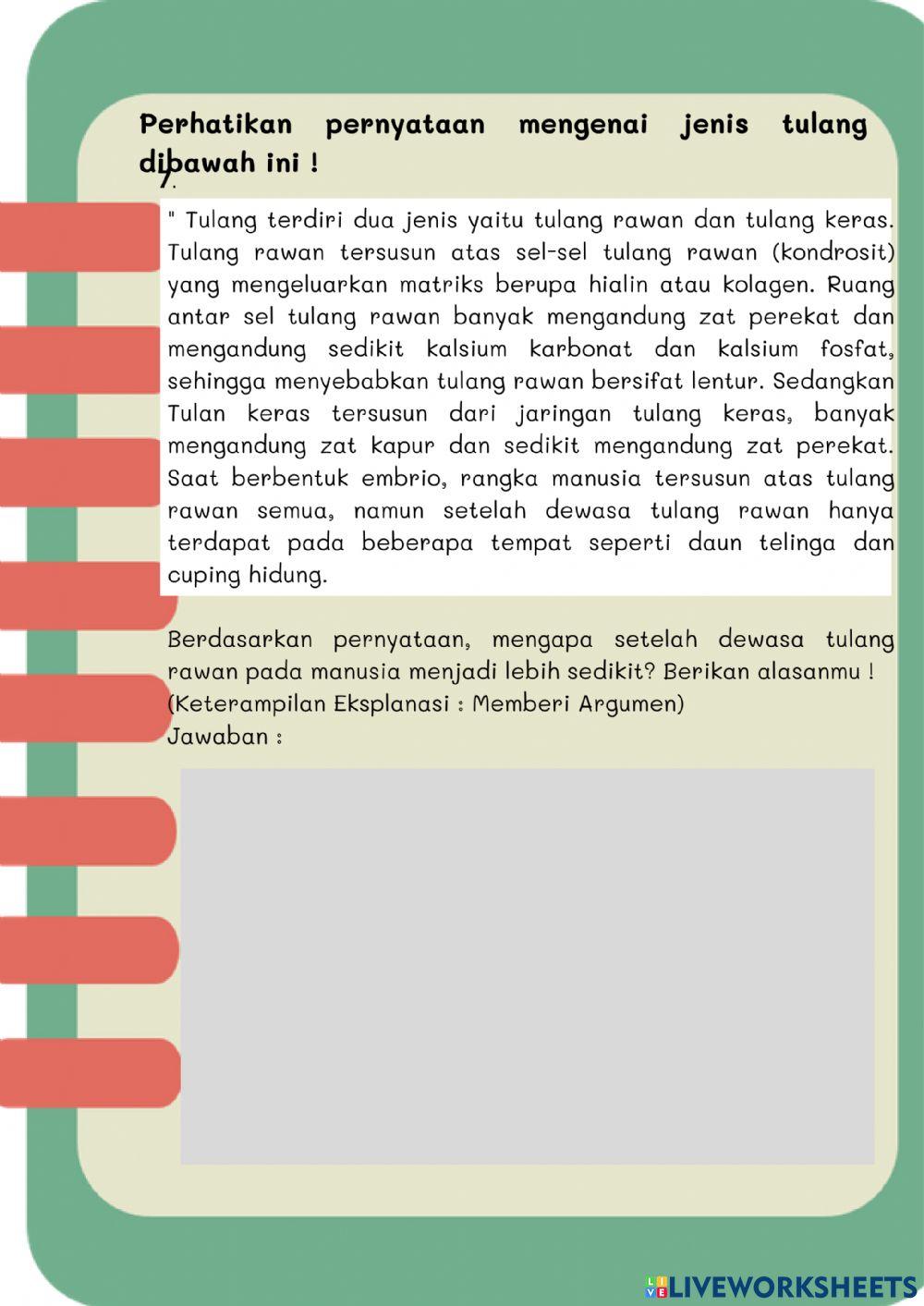 IPA-tes | Free Interactive Worksheets | 5166646