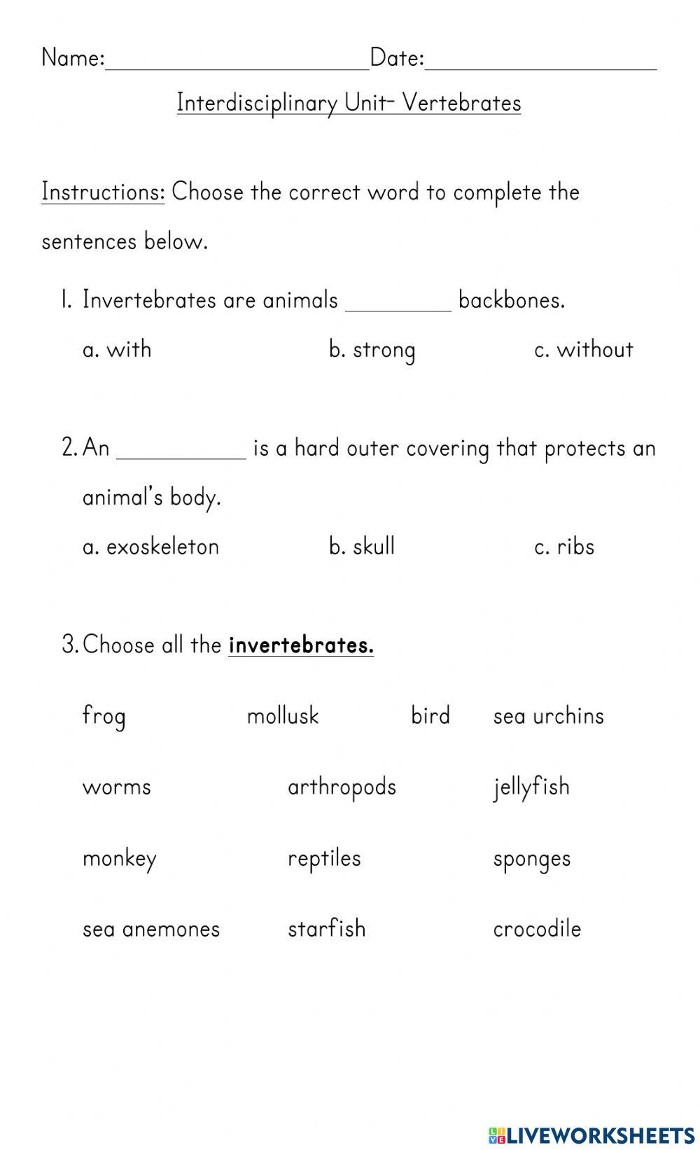 Invertebrates worksheet for 3 | Live Worksheets