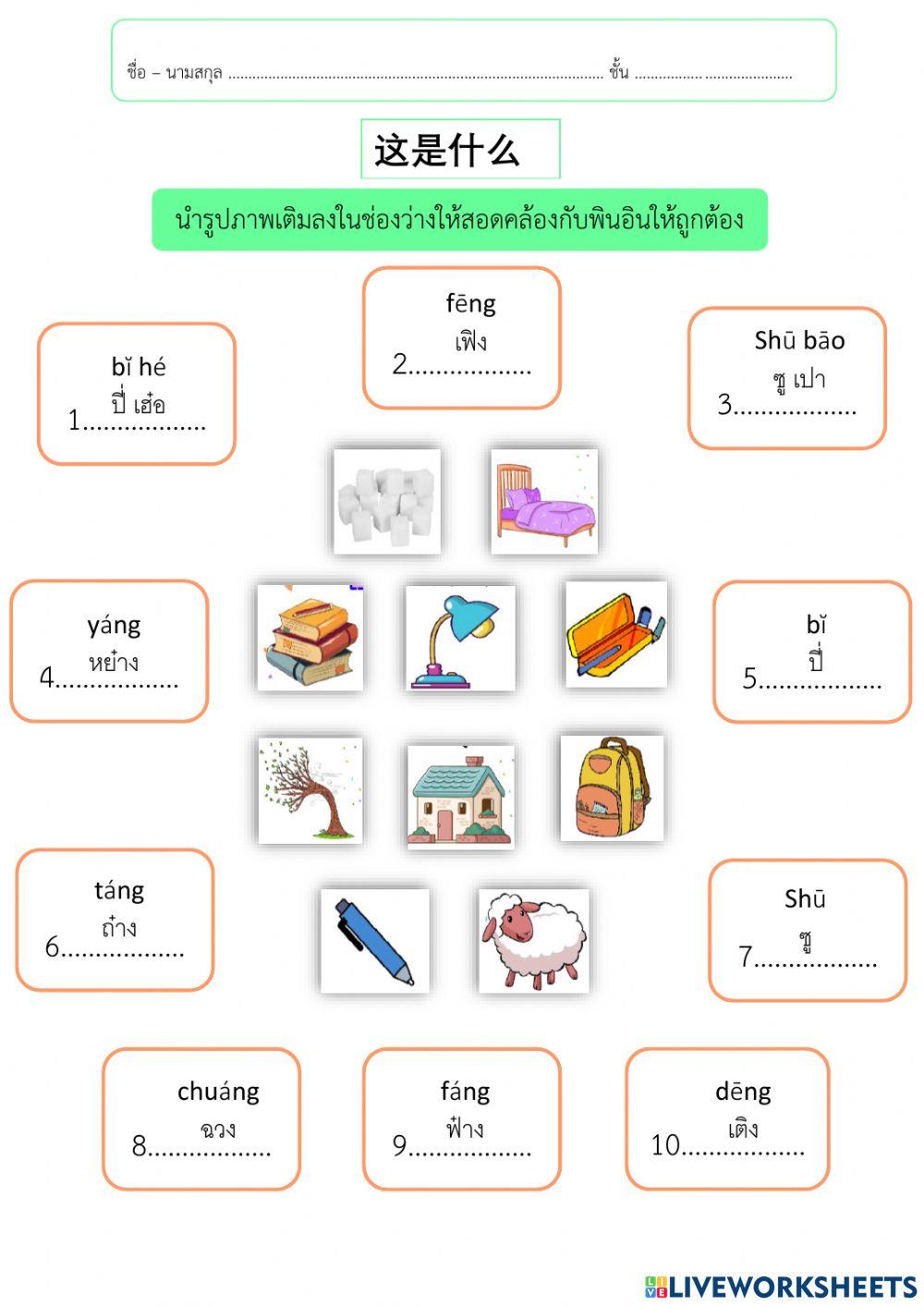 zhe shi shen me 3929978 | wijitra hamathulin | Live