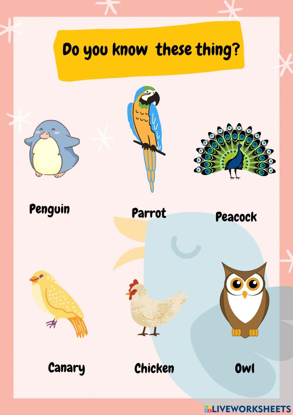 3932156 | Do you know these thing? | นายสมิท ชูตั้งต้น