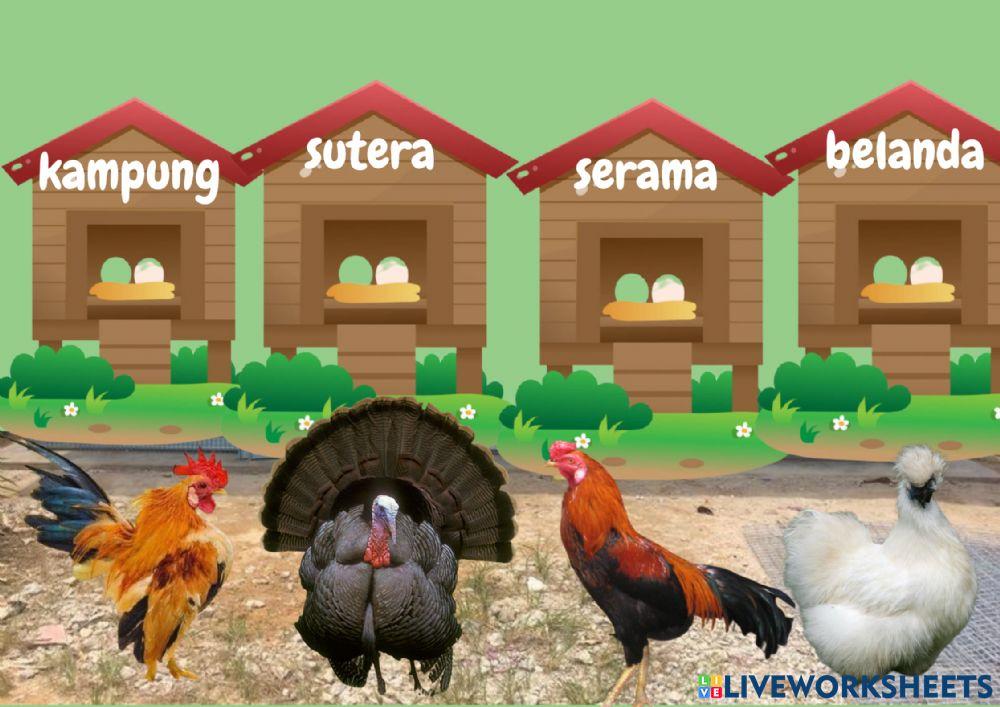 Set Induksi 19 Sept worksheet | Live Worksheets