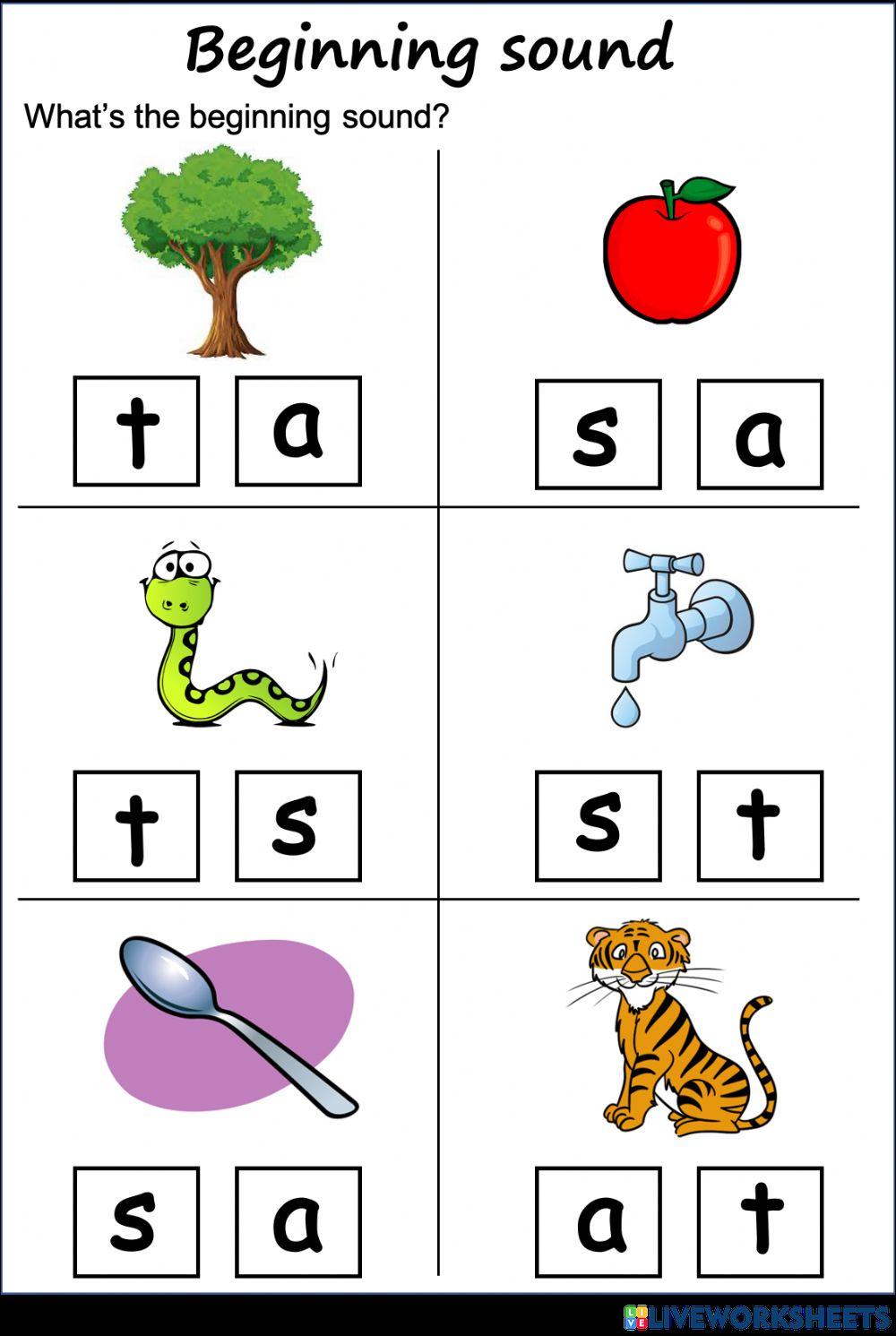 a,s,t | Free Interactive Worksheets | 7571390
