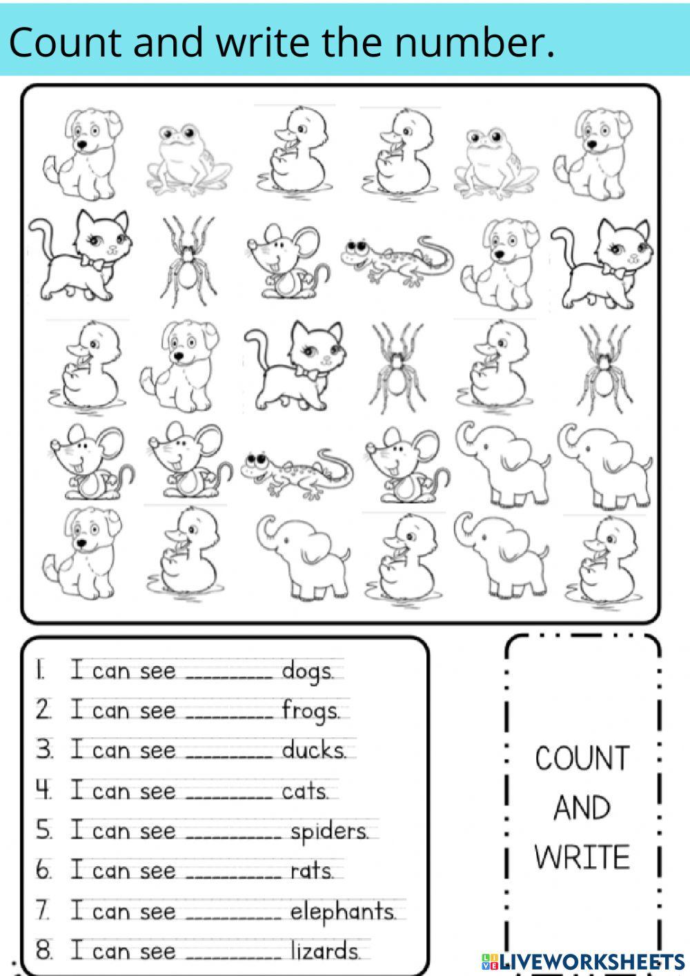 Revision: Pet Show worksheet | Live Worksheets