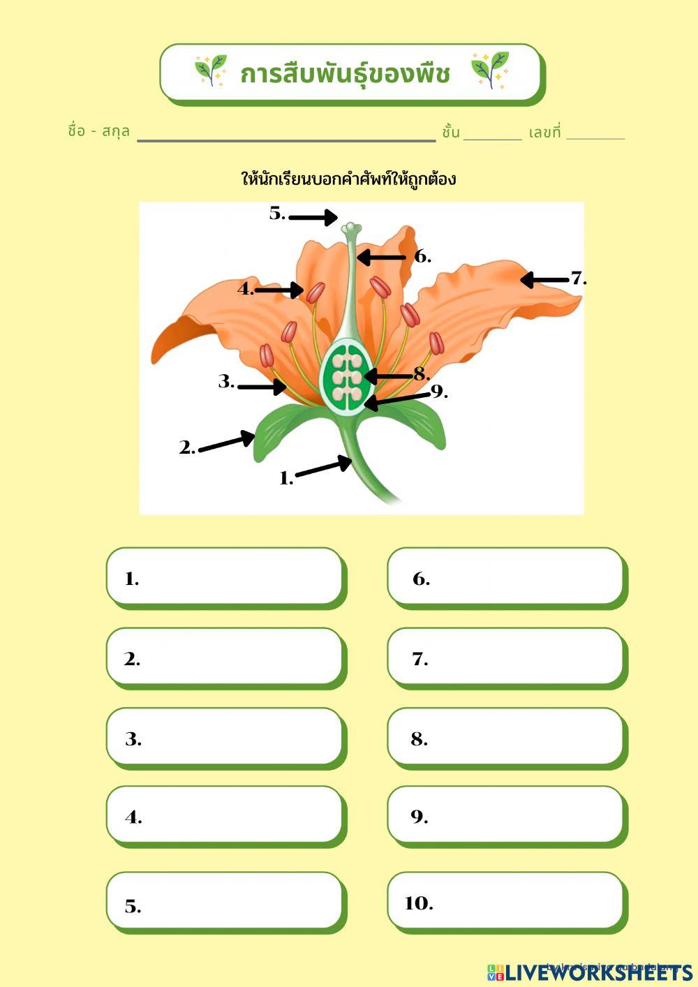 Biology worksheet for 5 | Live Worksheets