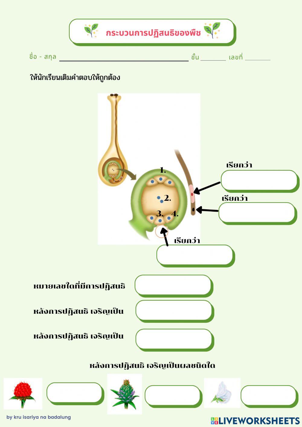 1411029 | Biology | isariya na badalung | LiveWorksheets