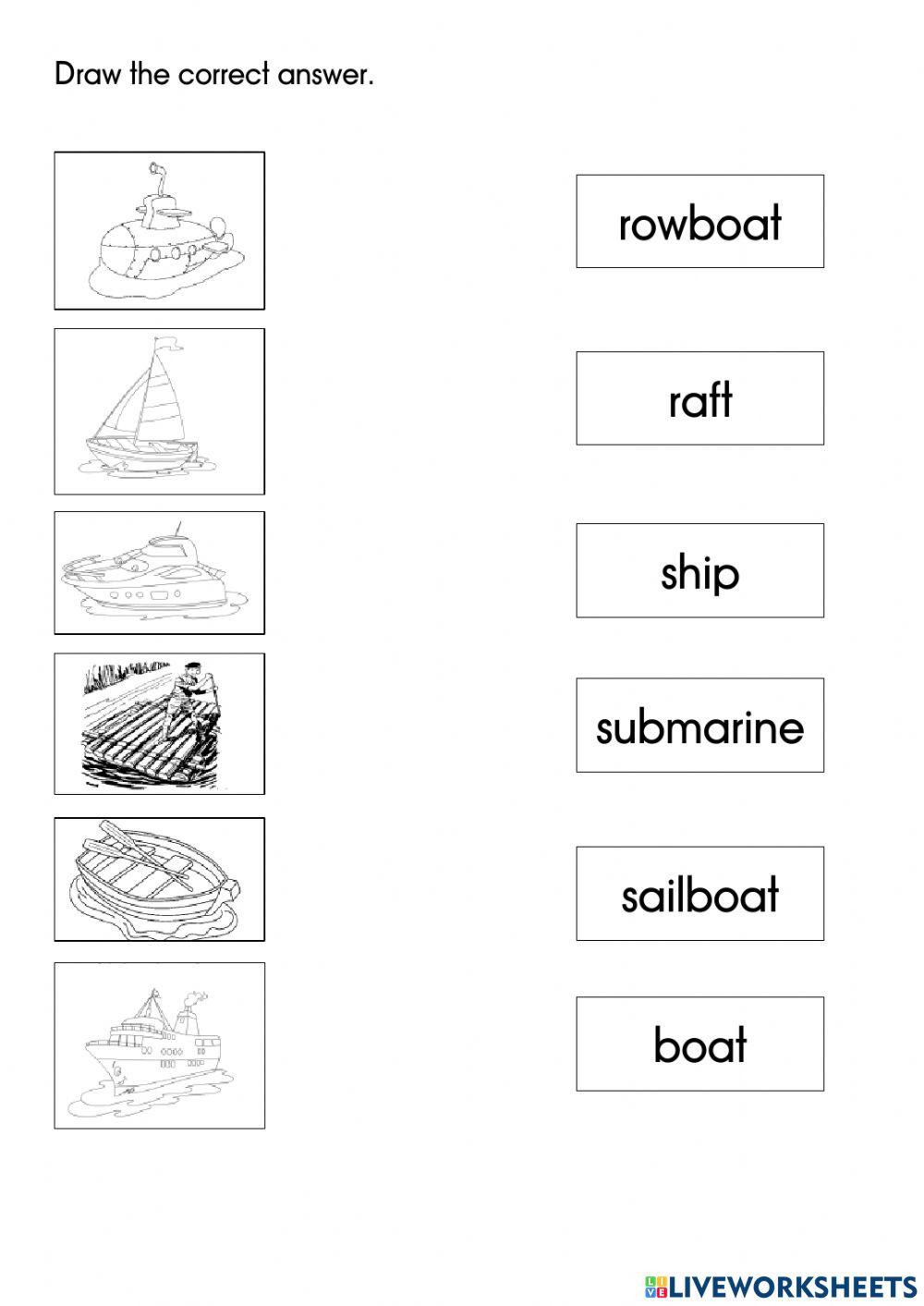 Water transpot worksheet | Live Worksheets