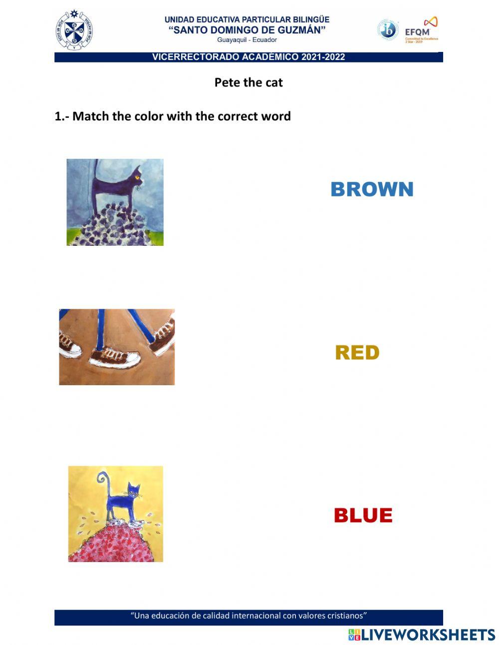 Pet the cat worksheet | Live Worksheets