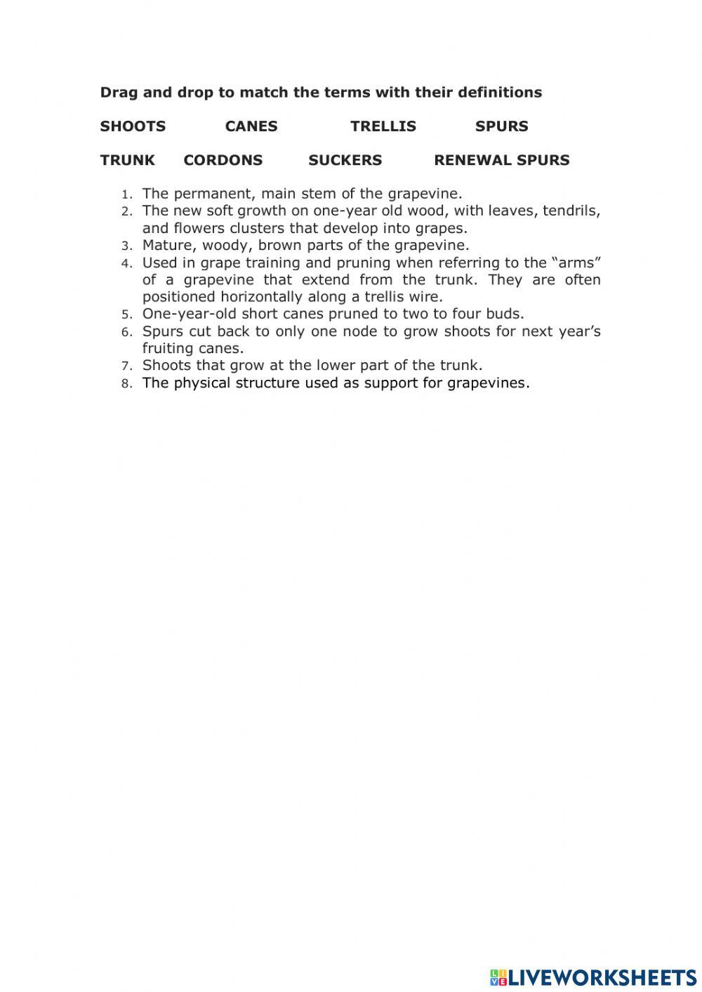 Vine pruning worksheet | Live Worksheets