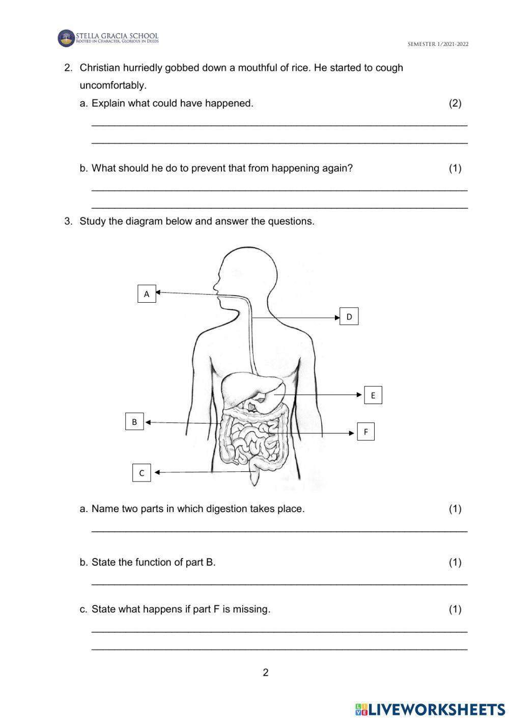 1340920 | Topical Test 1 P4 Science | fonisanri
