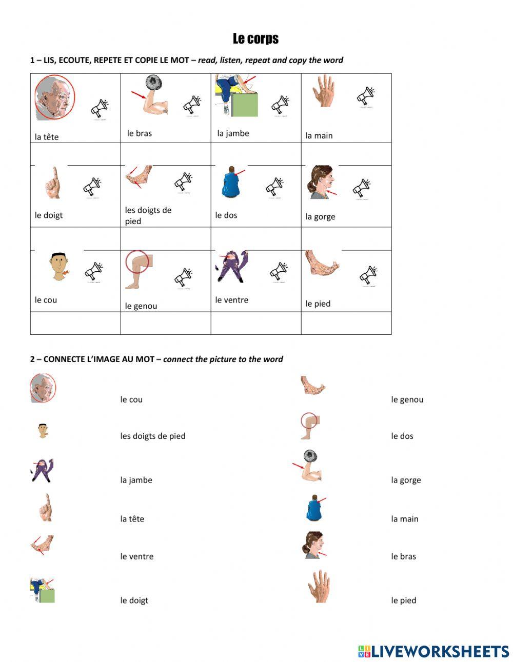 Le corps | Free Interactive Worksheets | 1342471
