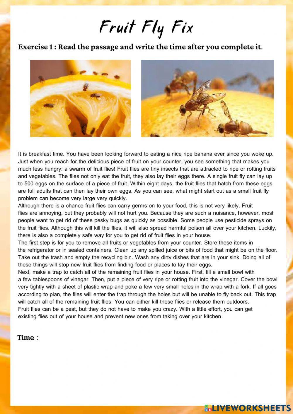 Fruit fly fix find main idea worksheet | Live Worksheets