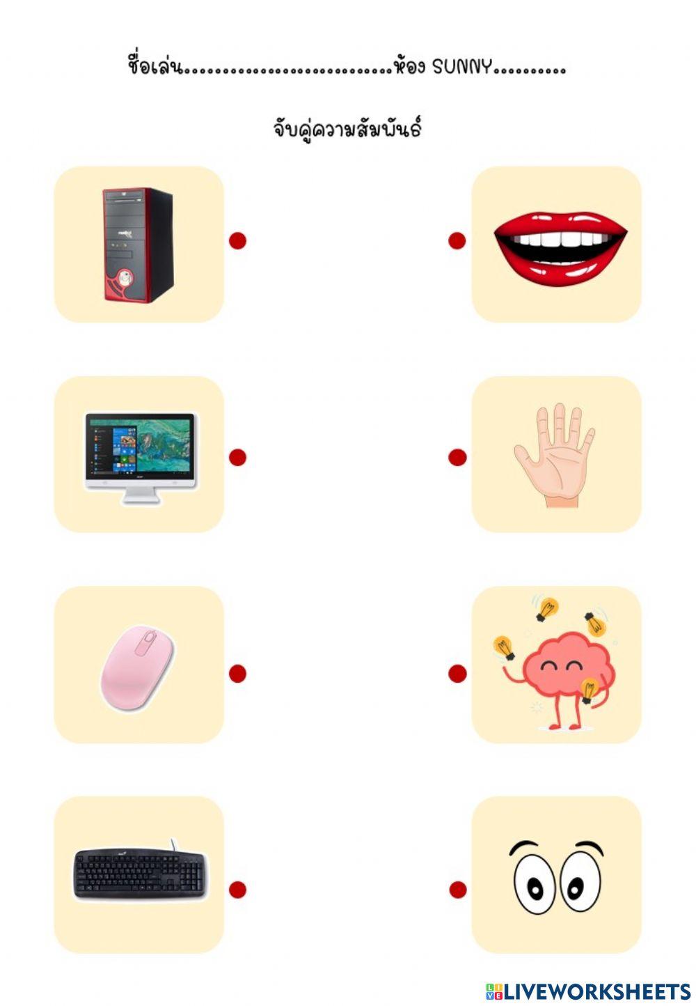 จับคู่ความสัมพันธ์ exercise | Live Worksheets