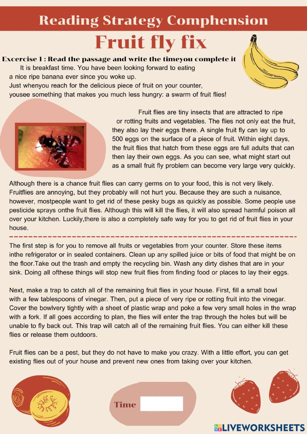 1343209 | Reading strategy : main idea, details and