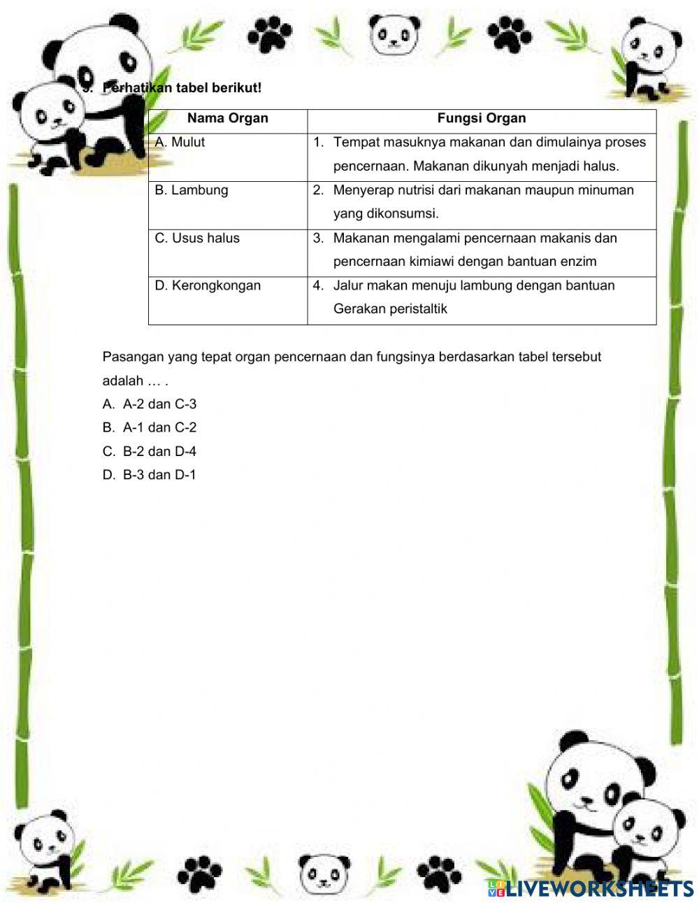 Latihan IPA online pdf worksheet for 5 | Live Worksheets