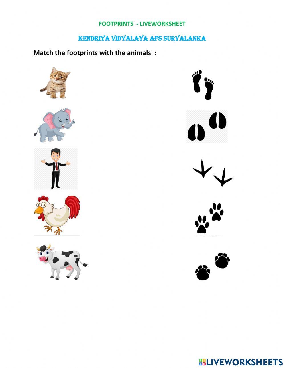 Footprints exercise | Live Worksheets