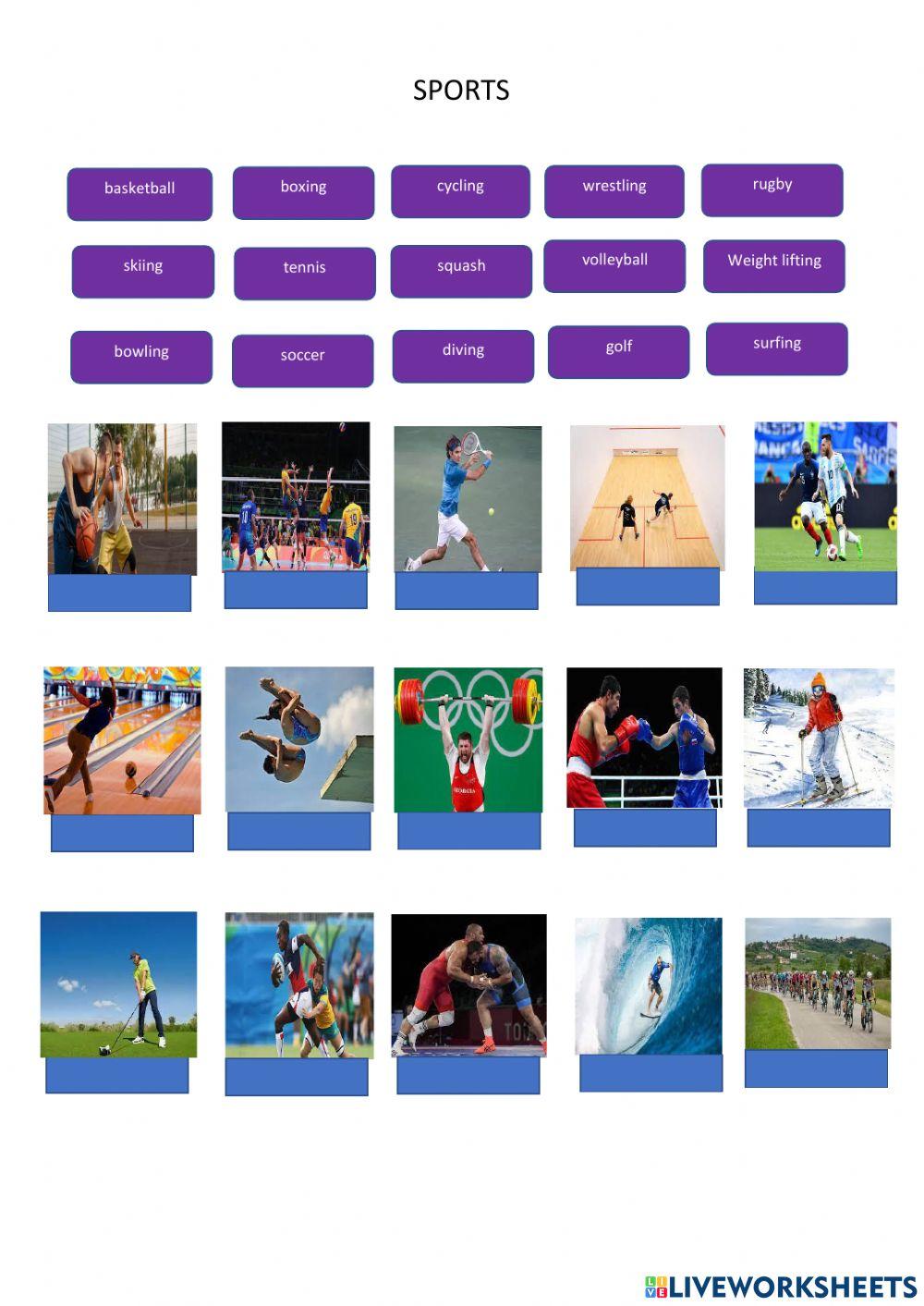 Sports online exercise for Grade:5 | Live Worksheets
