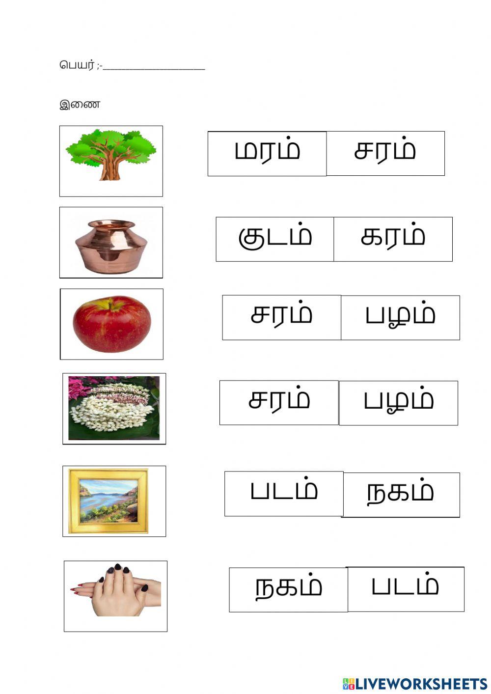 Tamil three let… | Free Interactive Worksheets | 1415050