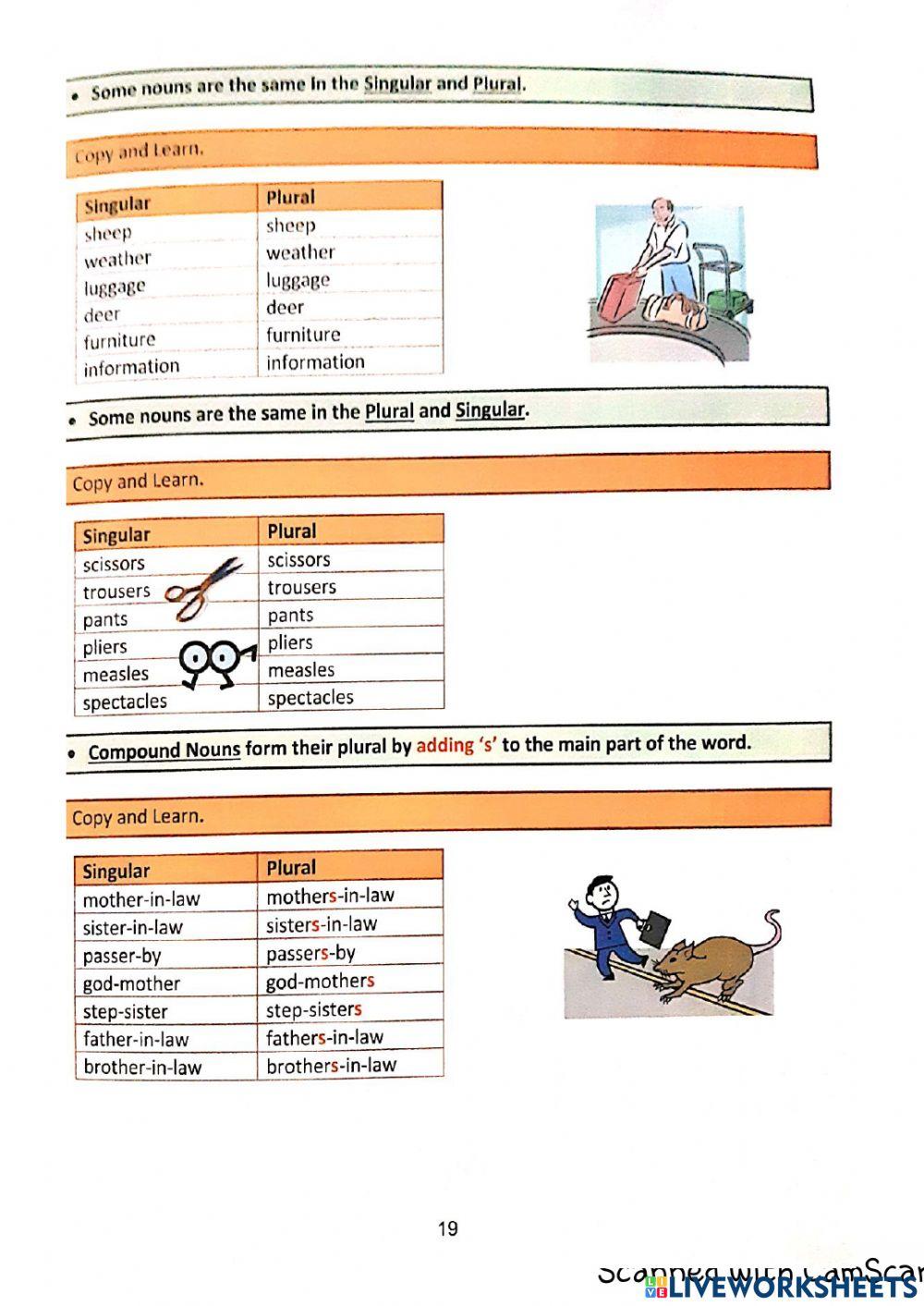 English Language Arts (ELA): 1415453 | Shaleen