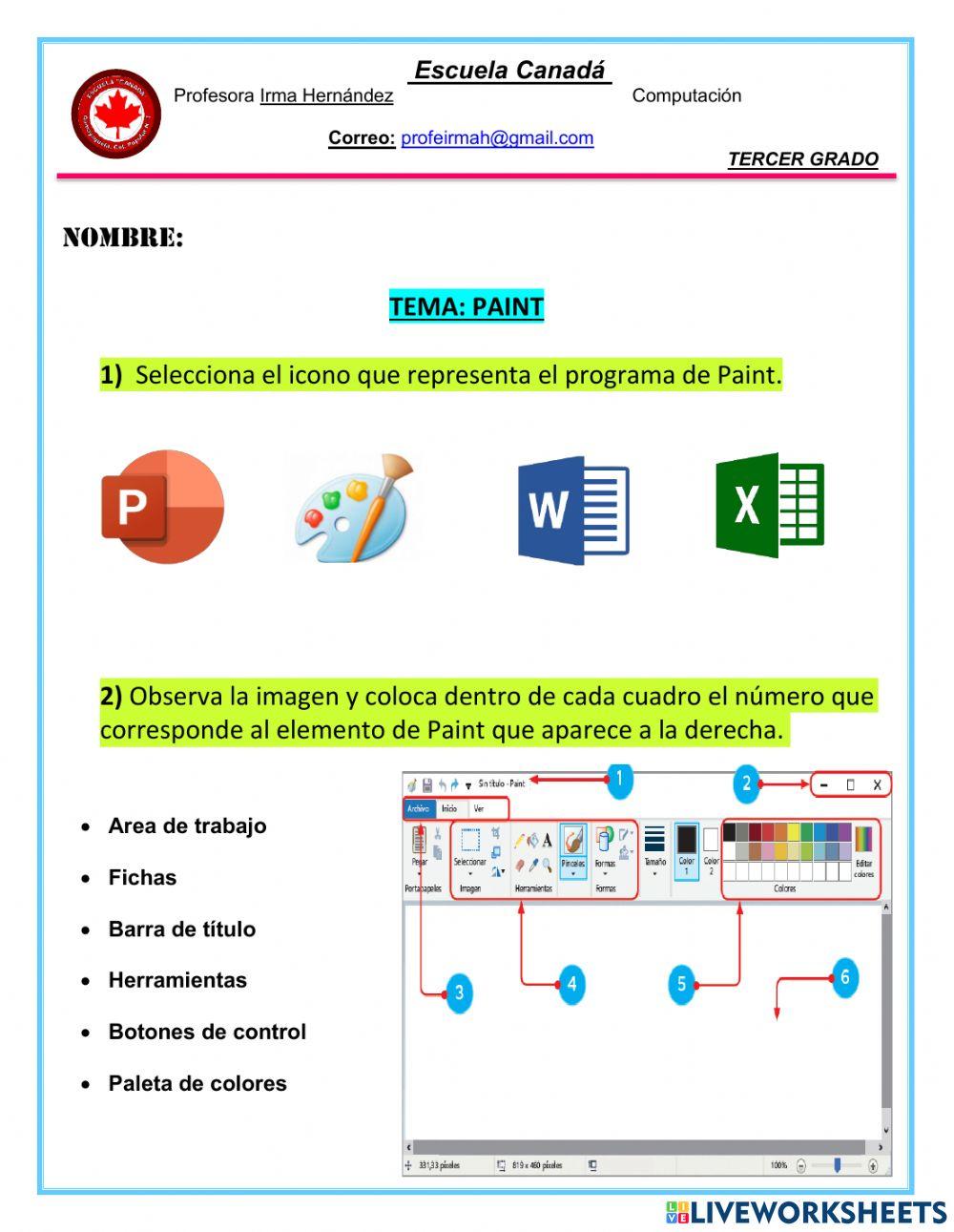PAINT (TERCER GRADO) online exercise for | Live Worksheets