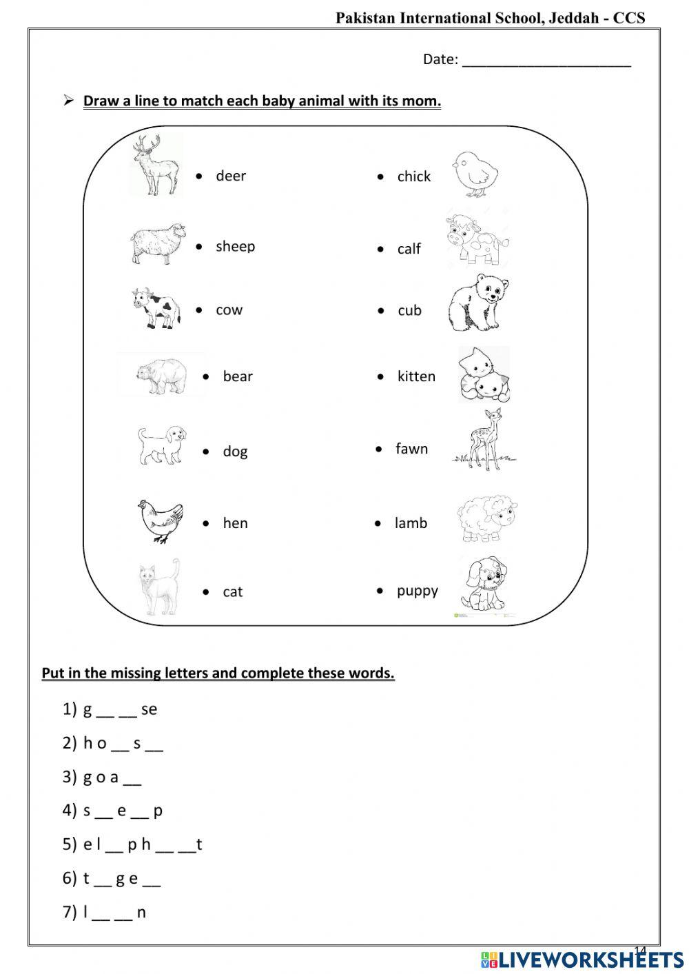 Animal babies activity | Live Worksheets
