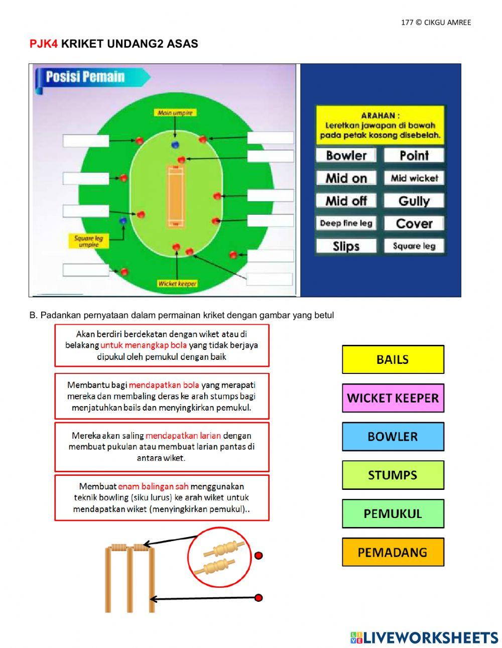 PJK4 kriket2 worksheet | Live Worksheets
