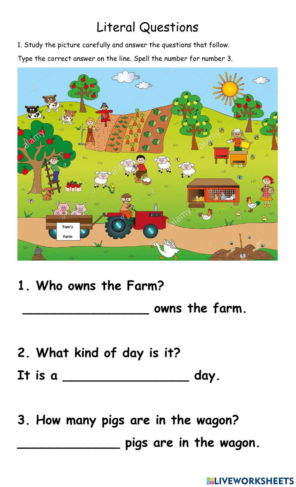 Literal Questions online exercise for | Live Worksheets