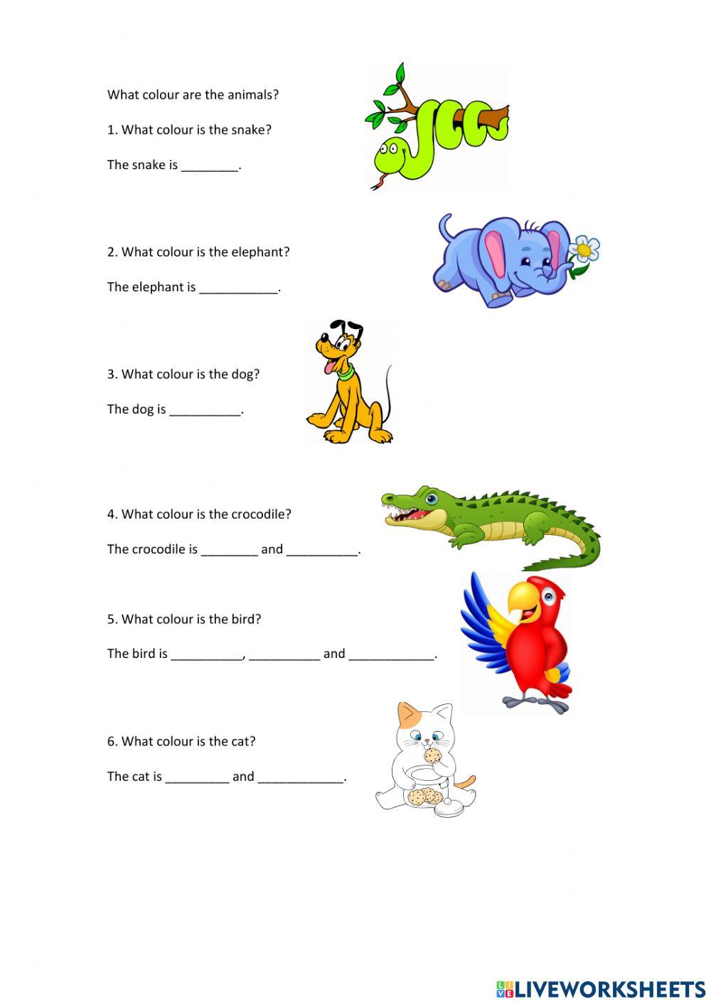 Pet show colour worksheet | Live Worksheets