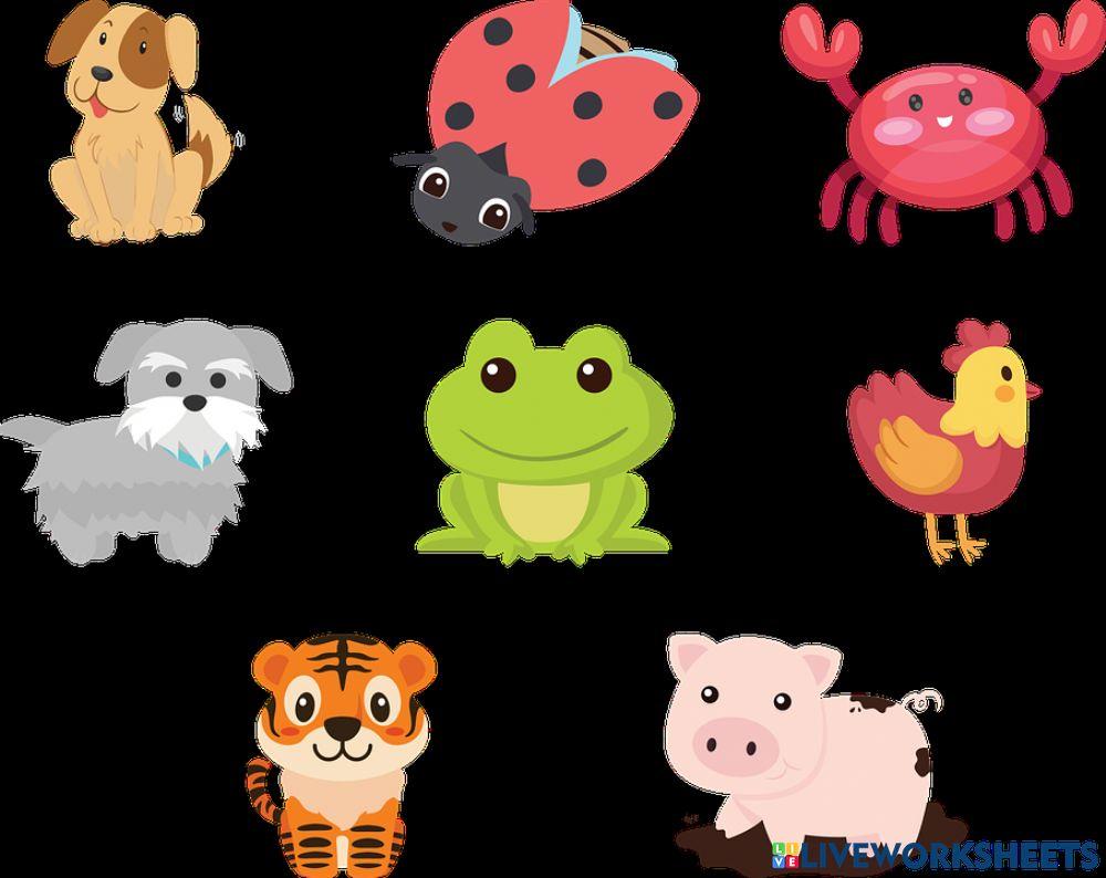 The animals online exercise for Grade 4 | Live Worksheets