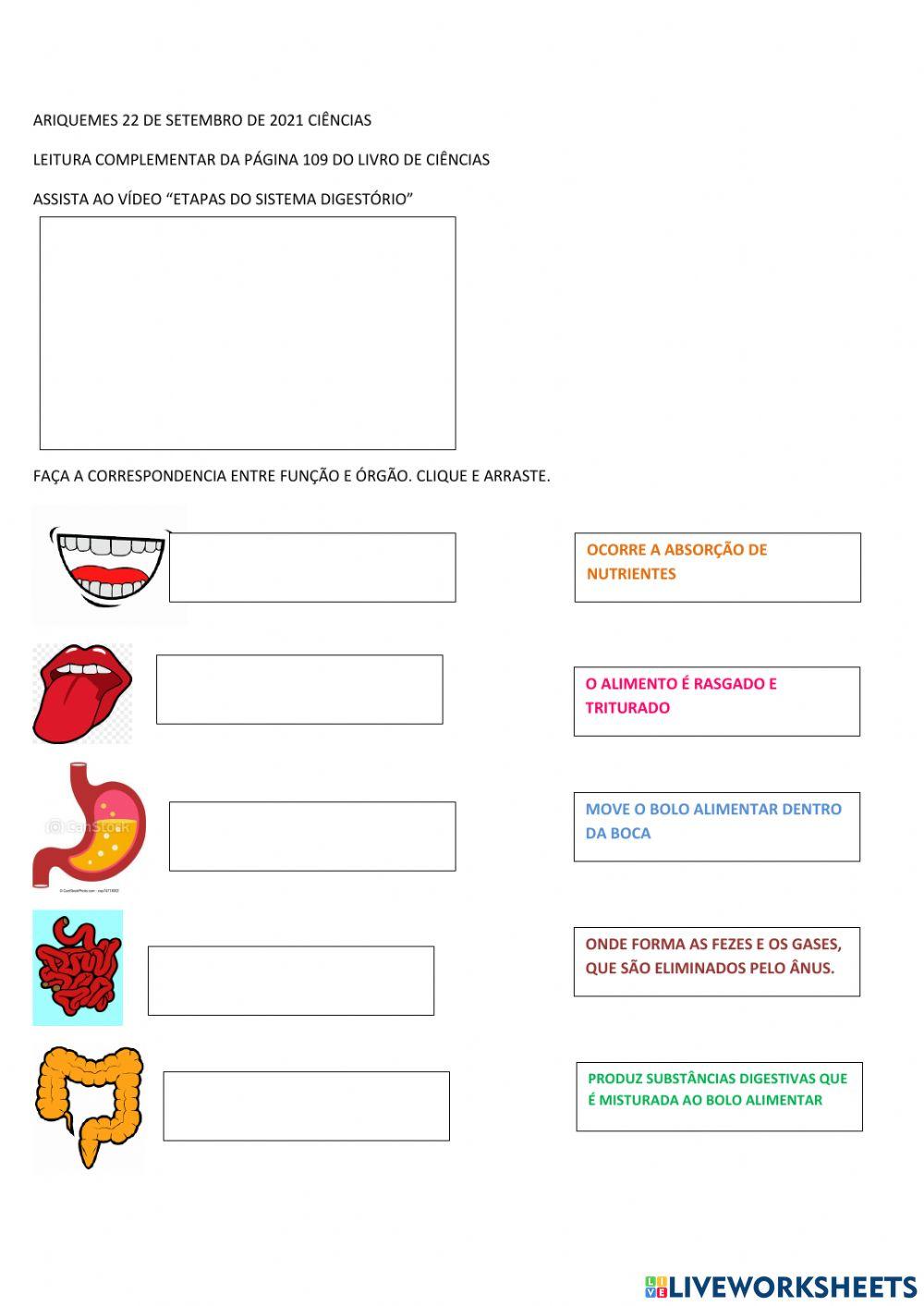 Etapas da digestão worksheet | Live Worksheets