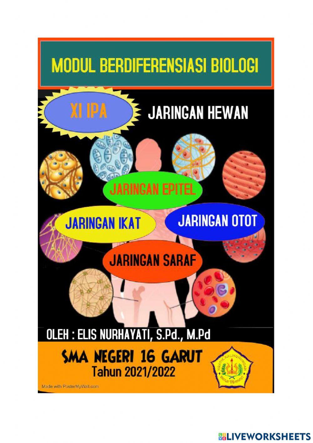 Pdf online worksheet: Biologi | Live Worksheets