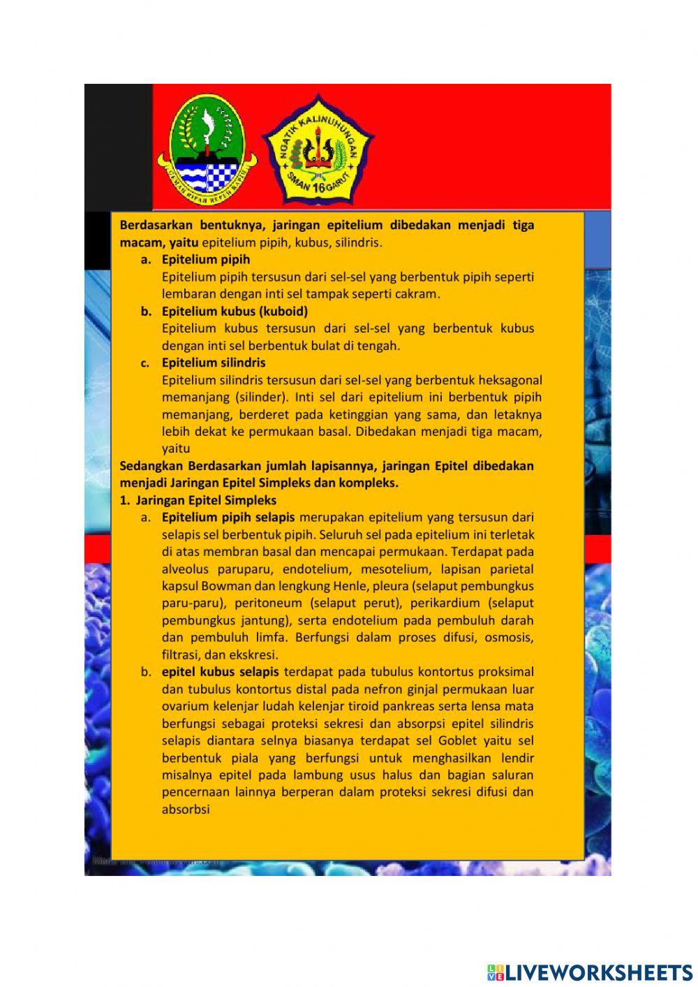 Pdf online worksheet: Biologi | Live Worksheets