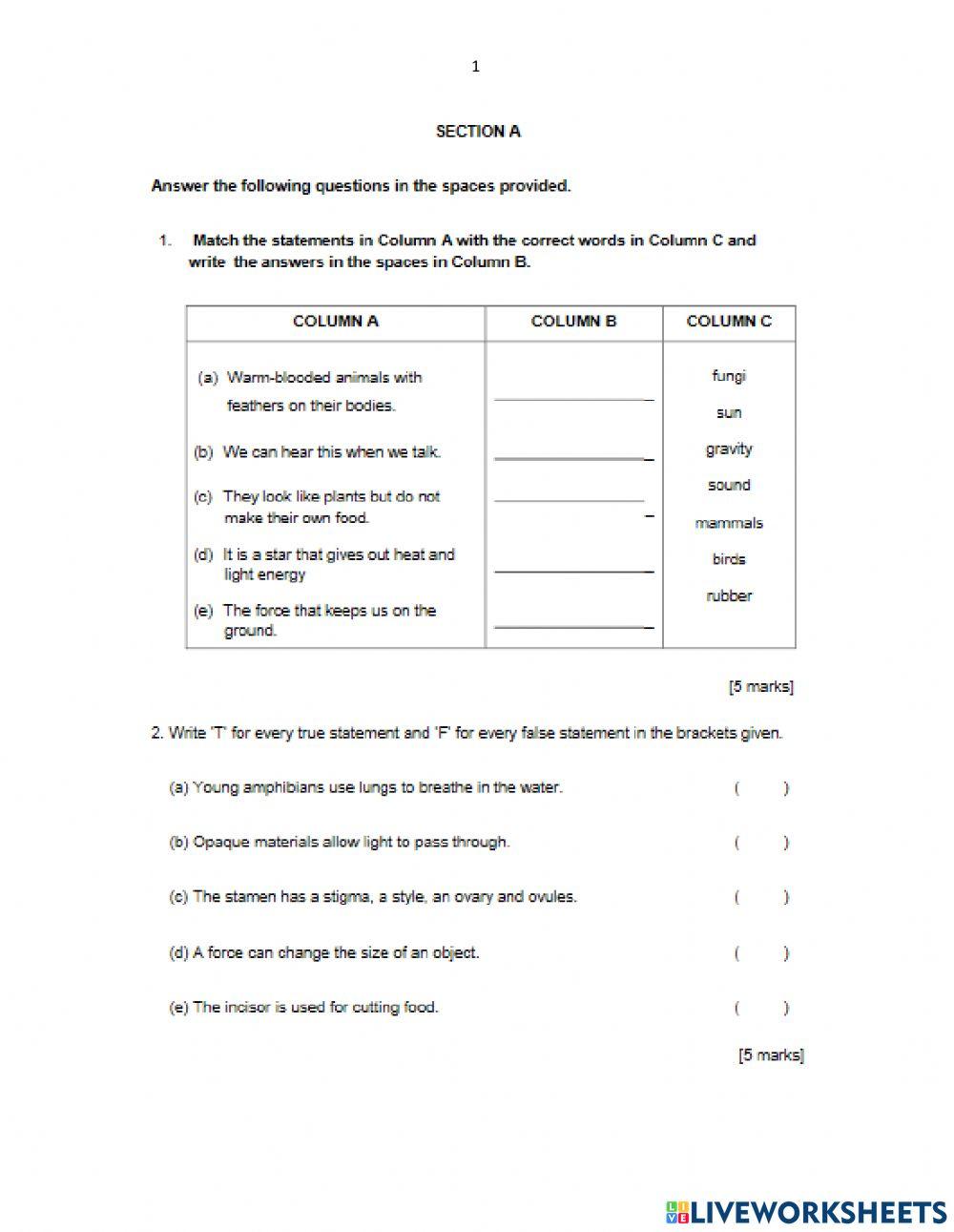 SCIENCE PSR Pap… | Free Interactive Worksheets | 6721054