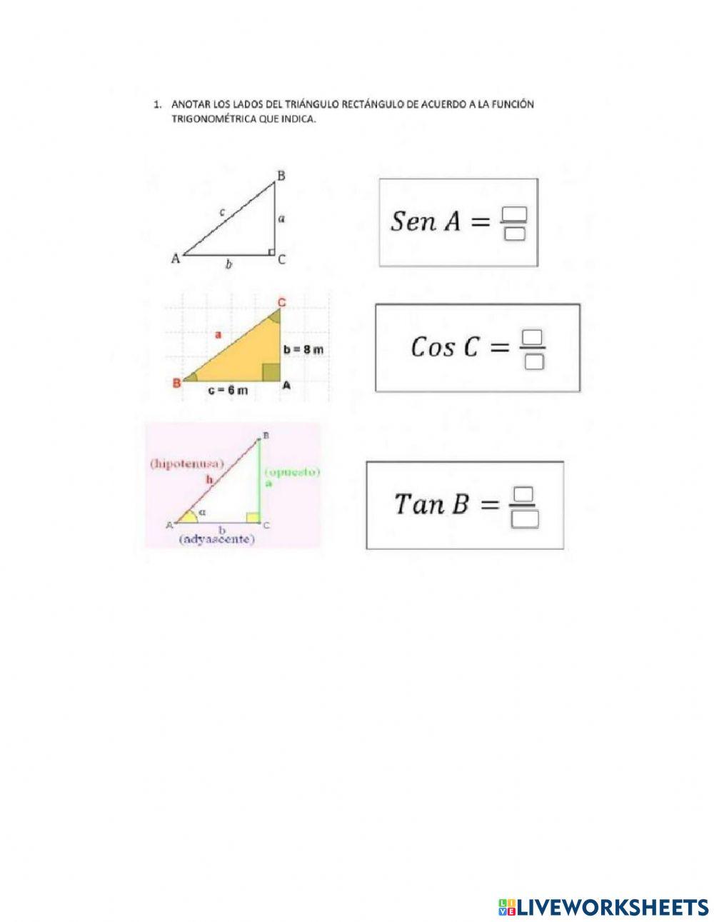 Razones Trigonométricas Exercise For 507 Live Worksheets