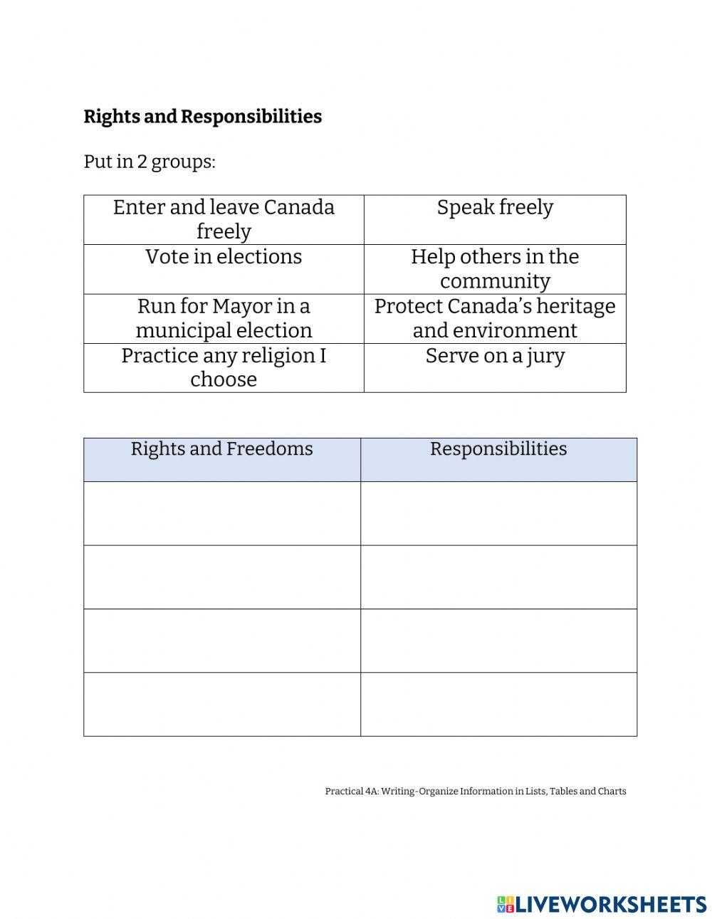 Rights and Responsibilities 1425253 | Amber | Live