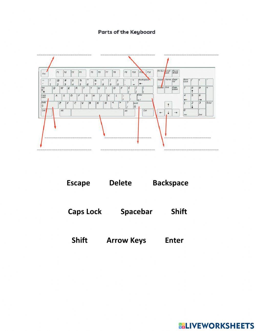 Parts of a Keyboard 6721438 | easterbhebhe | Live