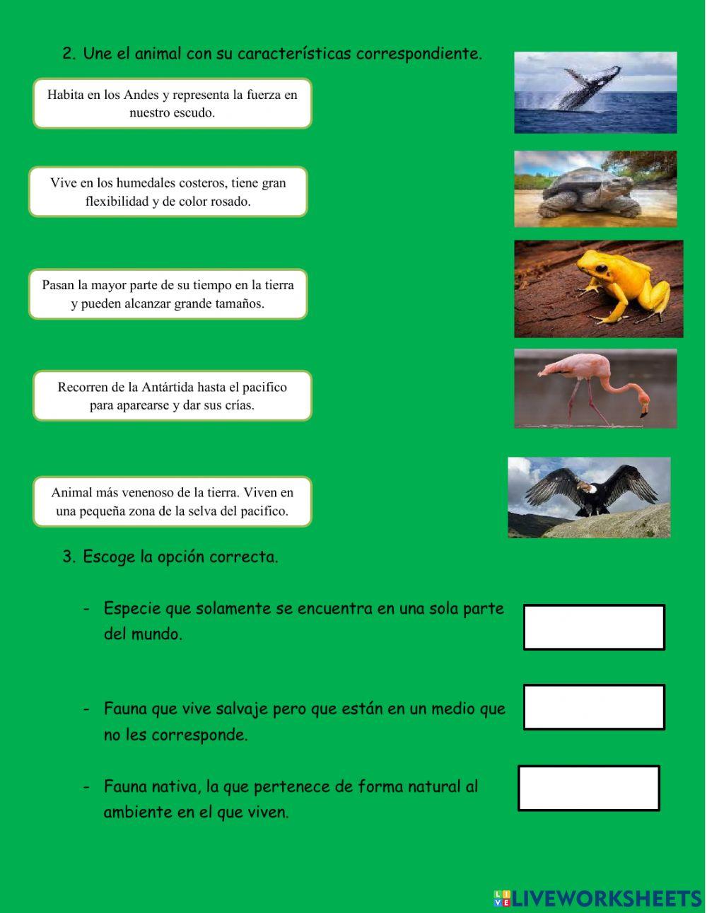 Fauna y Flora. | Free Interactive Worksheets | 1426417