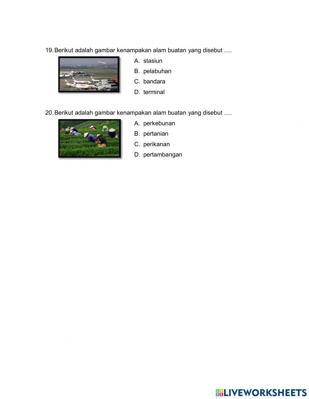 Kenampakan Alam Buatan worksheet | Live Worksheets