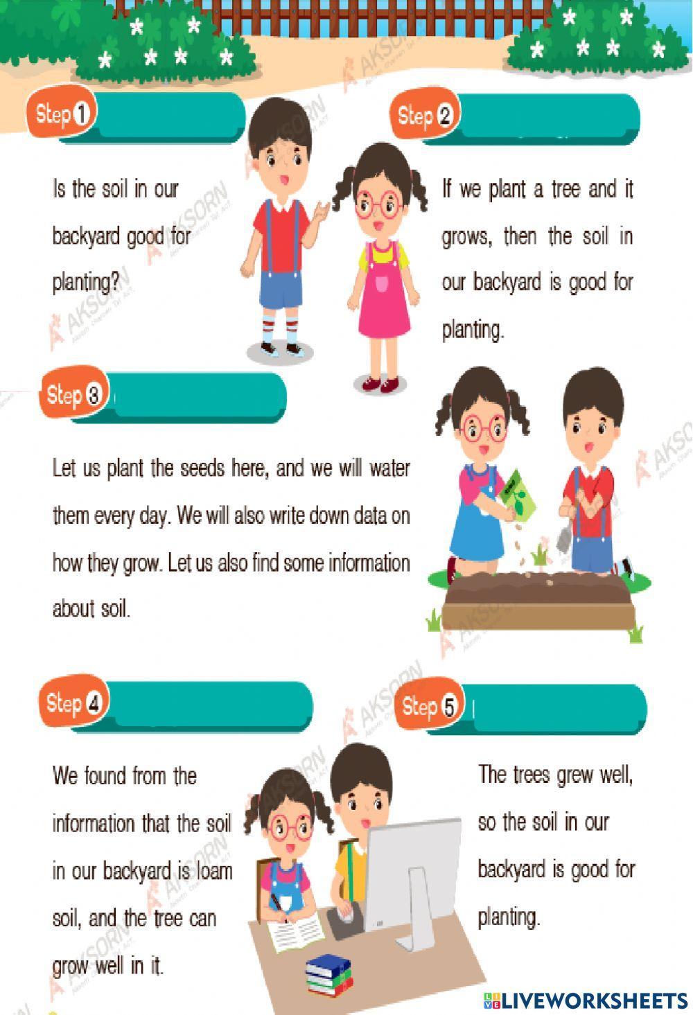 Scientific Method online pdf exercise | Live Worksheets