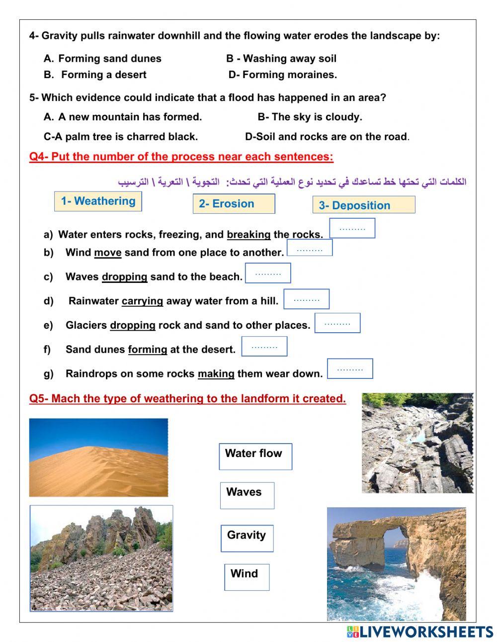 Review Unit 3 | Free Interactive Worksheets | 5175685