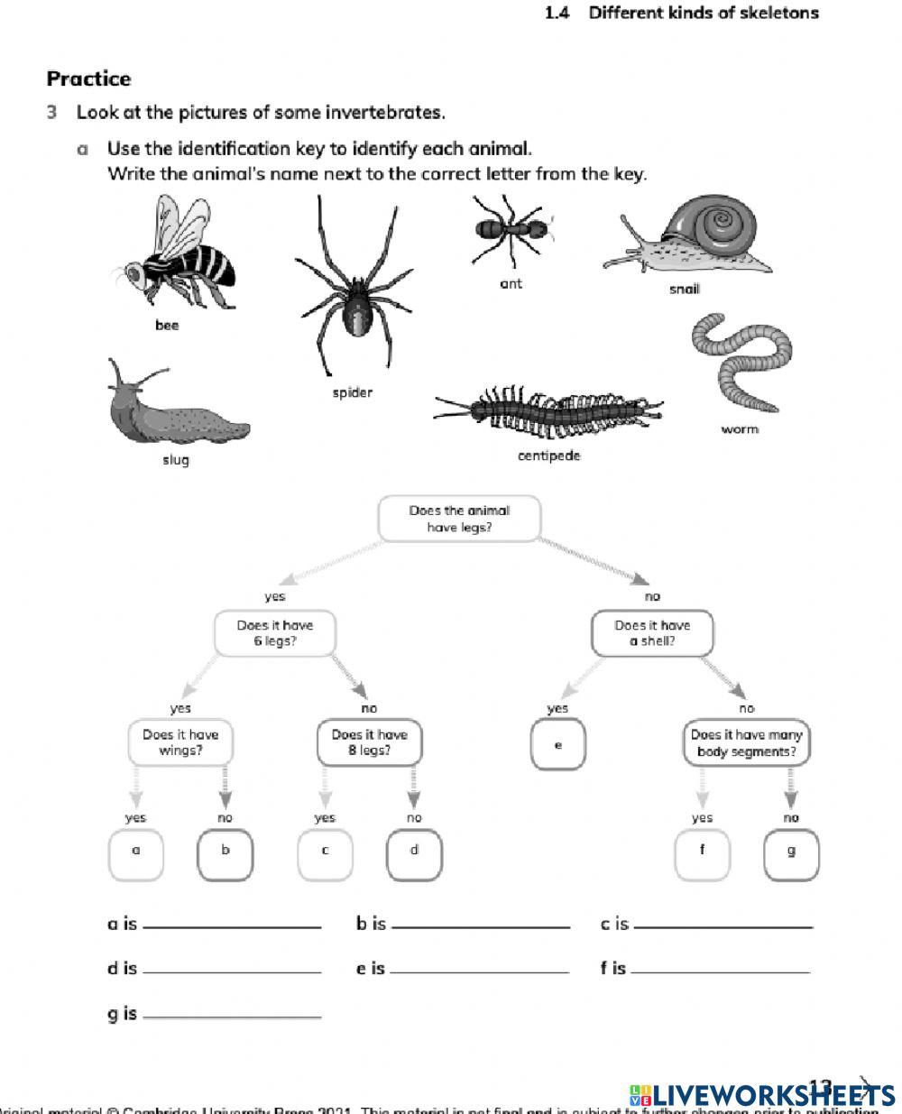 Different kinds… | Free Interactive Worksheets | 1429676