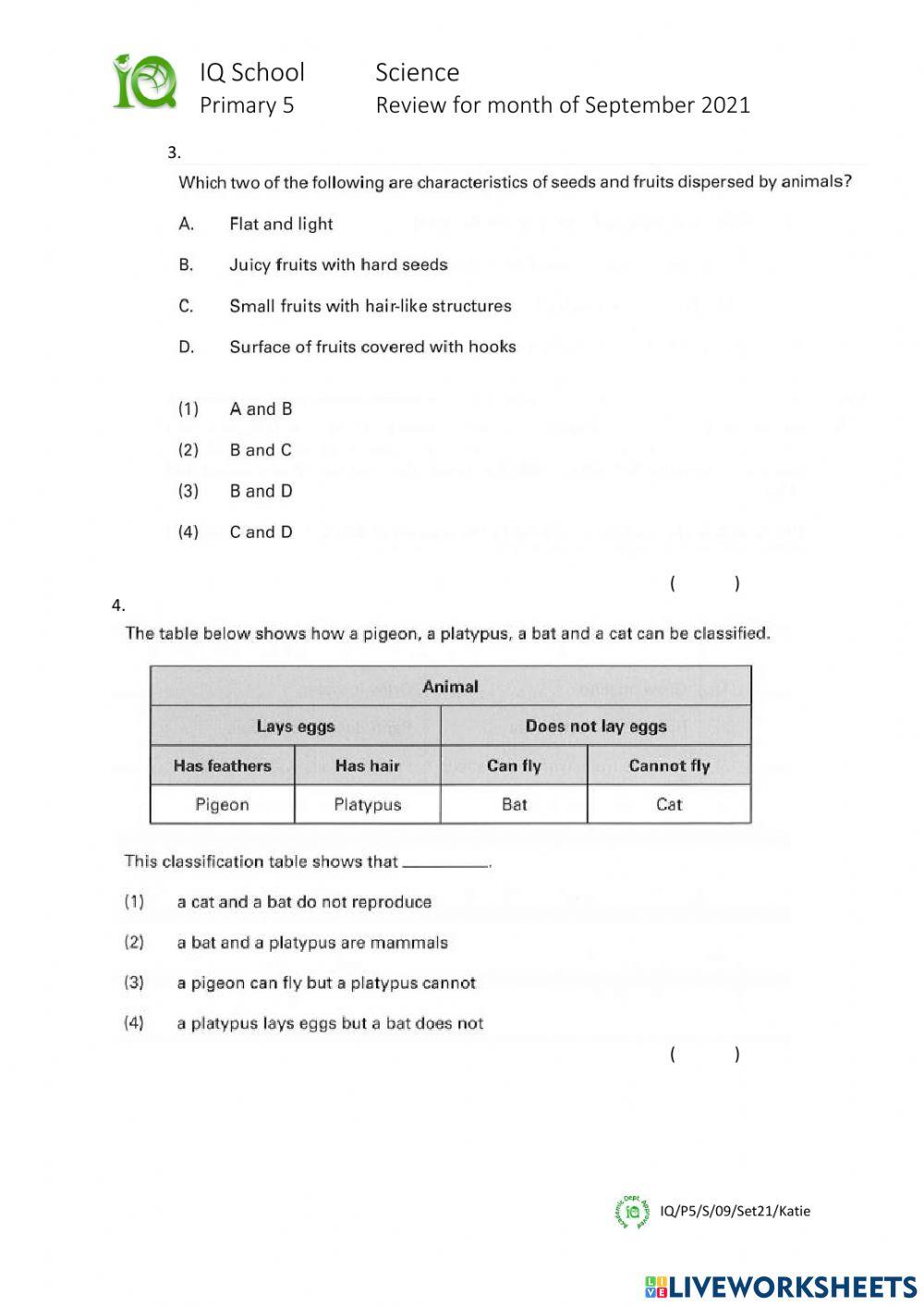 5E1 September 2021 worksheet | Live Worksheets
