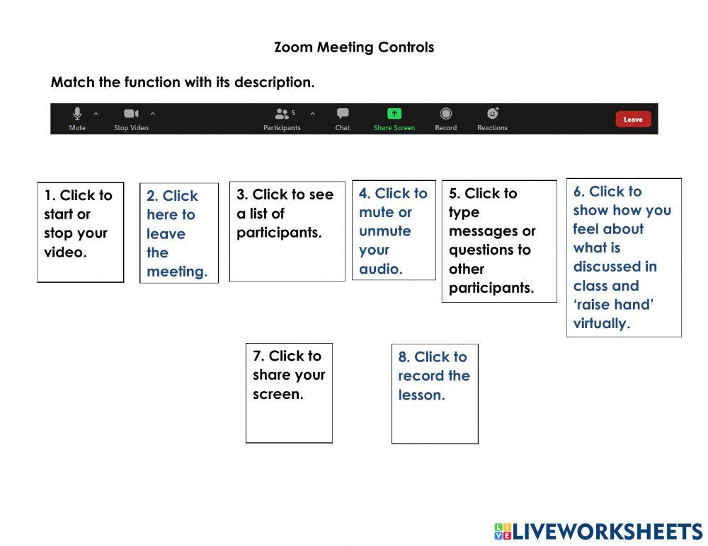 Identifying Zoom Controls worksheet | Live Worksheets