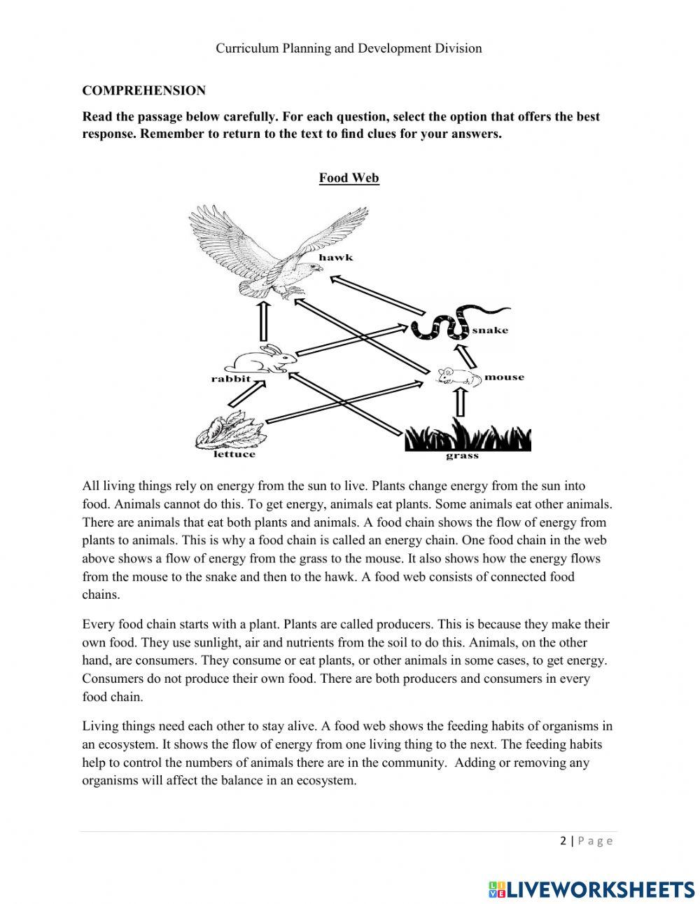 Comprehension Assessment 2021 worksheet | Live Worksheets