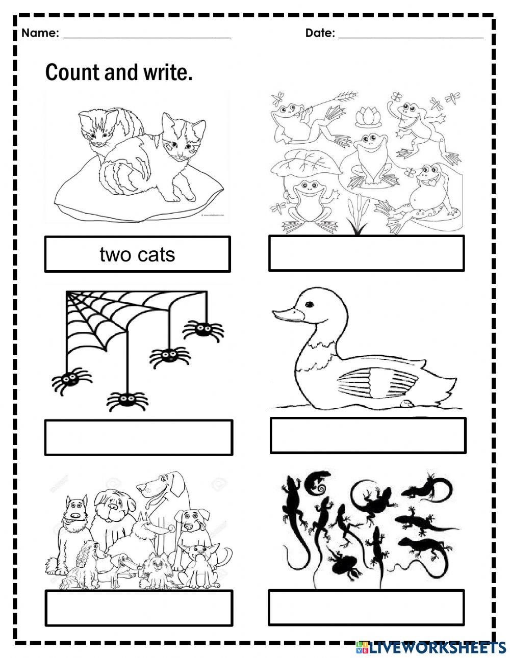 Unit 4: Pet Show interactive worksheet | Live Worksheets