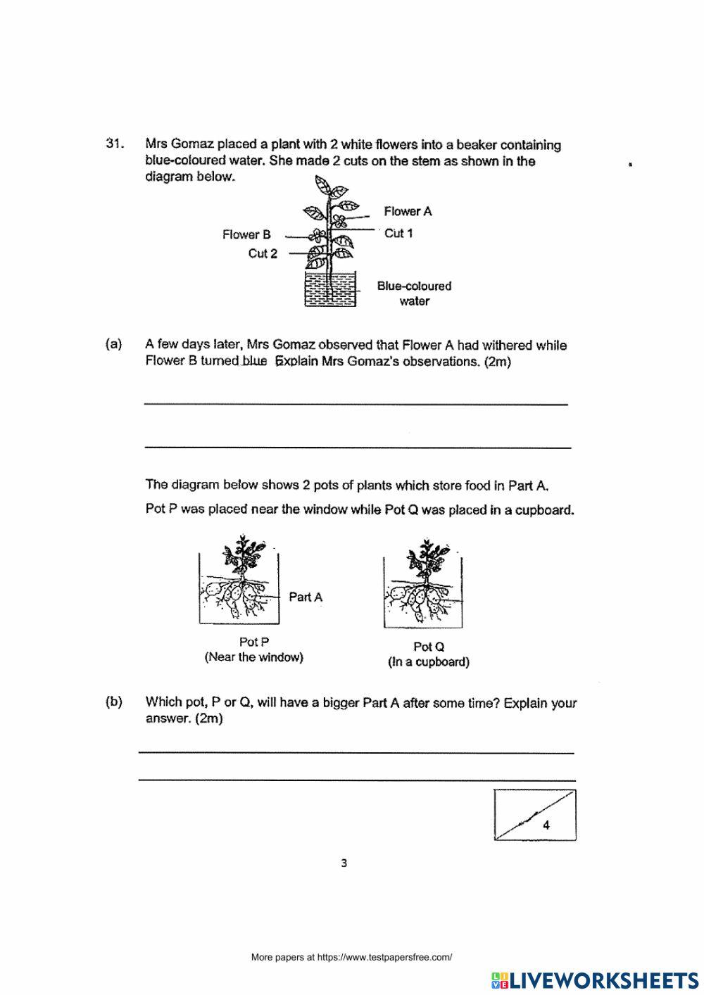 Science PSLE Prelim 2020 - SCGS 3407116 | VALERIE BUKAS