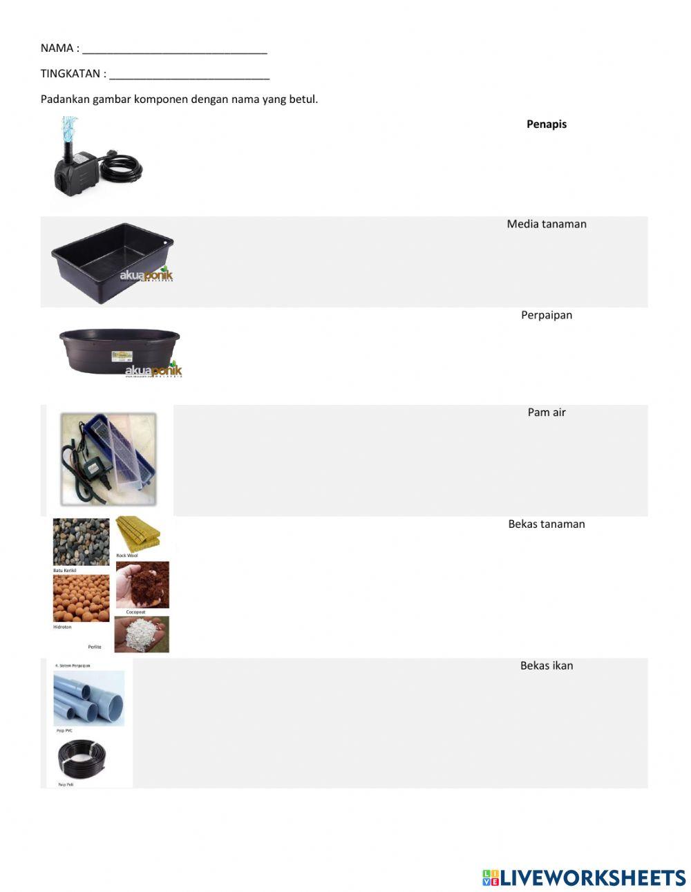 2.5,3 Komponen akuaponik worksheet | Live Worksheets
